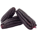 Mazorca Morada | GorilaMarket