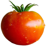 Tomate Chonto Institucional | GorilaMarket